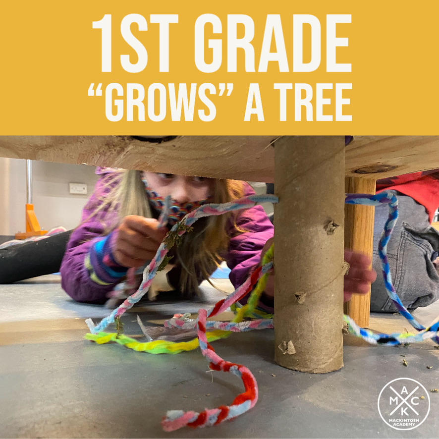 First Grade Design Lab - Mackintosh Academy - Boulder